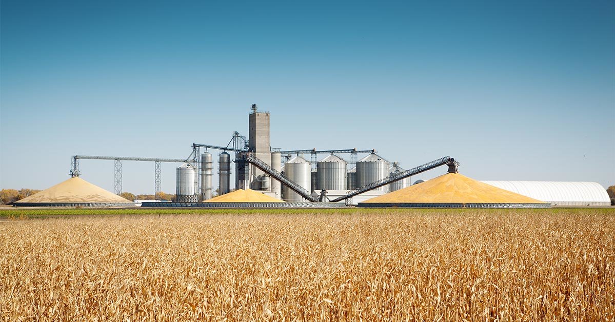Grain Monitoring Systems | Control Unlimited